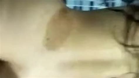 Me Follé A Mi Entrenador Personal Y Me Echó Toda Su Rica Leche En La Vagina ¡me Lo Hizo Muy