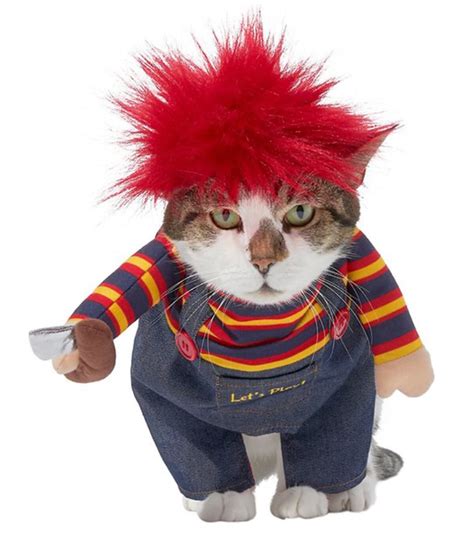 Scary Halloween Costumes For Cats At Linda Washington Blog