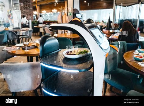 Robot Waiter Serve Food At Modern Restaurant Tableoffering Innovation