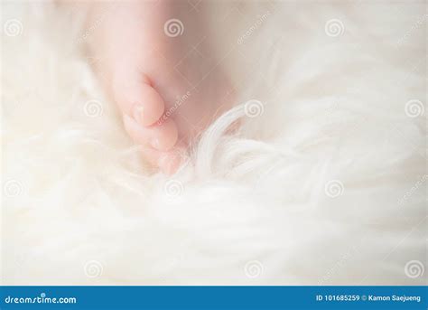 Босые ноги милого Newborn младенца в теплом белом одеяле Детство Малые