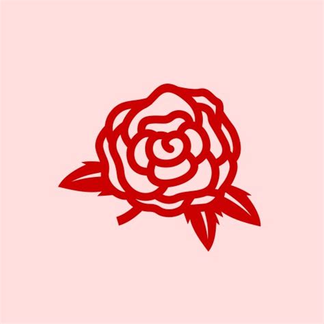 Daisy Flower Logo Icon Royalty Free Vector Image