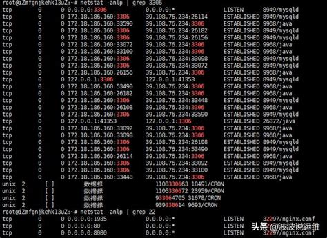 Linux 开放端口详解linux如何查看服务器开放的端口号 Csdn博客