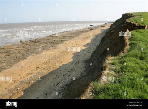 Beach And Cliffs At The Naze Walton On The Naze Essex Erosion By