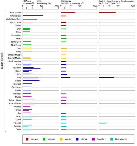 Retn Gene Genecards Retn Protein Retn Antibody