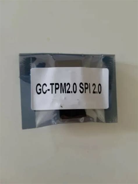 GIGABYTE GC TPM SPI Trusted Platform Module TPM In Hand Quick Delivery PicClick CA