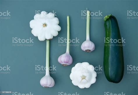 밝은 배경에 야채 건강한 음식 스티커 채식 라이프스타일 광고마늘과 호박을 곁들인 호박 건강한 식단을 위한 성분 다른 크기와