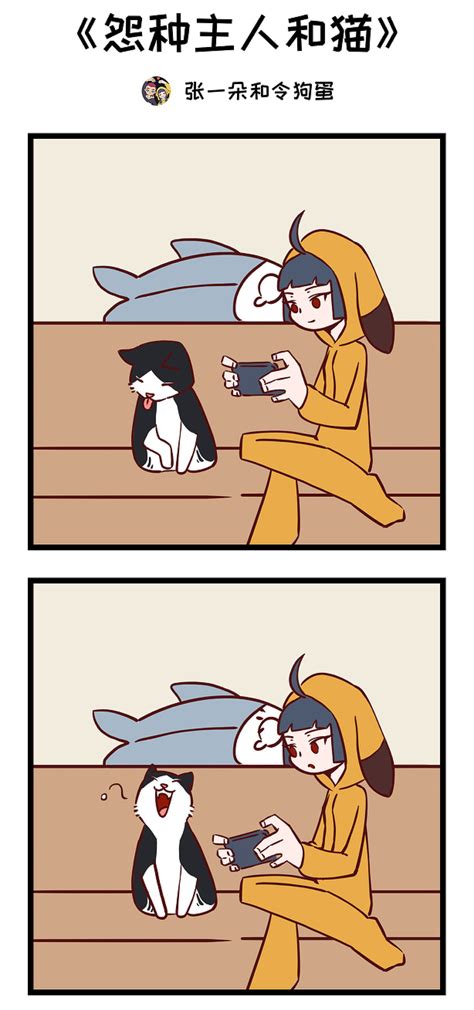 怨种主人和猫张一朵和令狗蛋 站酷zcool