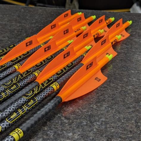 Victory Elite Rip Tko Custom Arrow Build 12 Pk