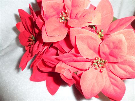 Jõulutäht Kunstlille Kimp Põlde Talu Koduaed