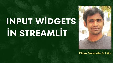 4 Input Widgets In Streamlit Youtube