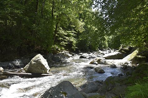 Borgo Diffuso Di Garzeno Territori In Movimento