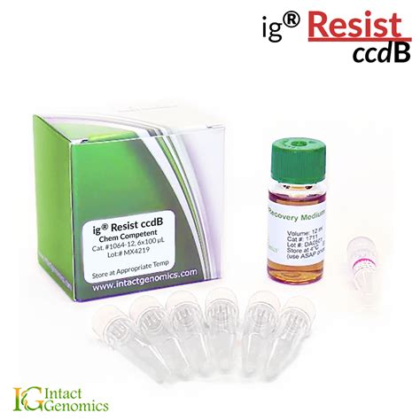 Ccdb Resist™ Chemically Competent Cells Ig® Intact Genomics