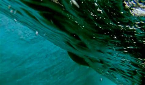 Underwater Sequence Flow Stagnation Line And Shedding Rail General