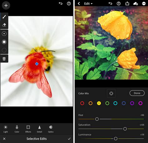 Best Photo Editing Apps For Windows 10 at Edna Mondragon blog