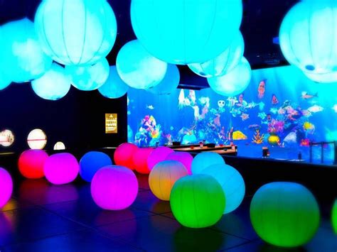 チームラボ 学ぶ！未来の遊園地 ららぽーと湘南平塚店 子連れのおでかけ・子どもの遊び場探しならコモリブ