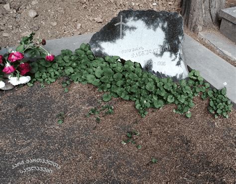 თეიმურაზ ჯანგულაშვილი კარგ ქართველთა საფლავები