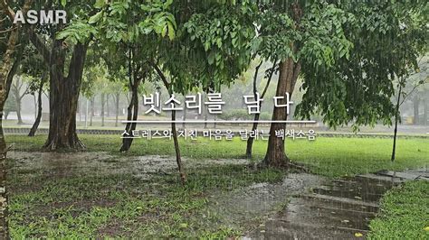 한적한 공원의 빗소리 Asmr 긴장 완화와 마음의 안정을 위한 백색소음 스트레스 해소 이명 완화 집중력 향상 음악