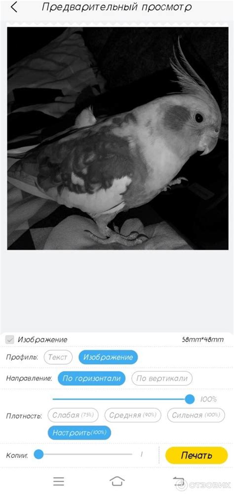 Отзыв о Портативный мини принтер для чеков наклеек этикеток No Name Можно найти множество