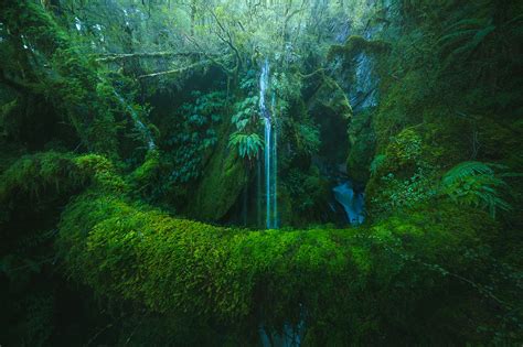 Tree Hug Dylan Fox Photography Luxury Fine Art Photography