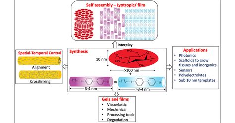 Recent Advances And Opportunities For Cellulose Nanocrystal Based Liquid Crystalline Polymer