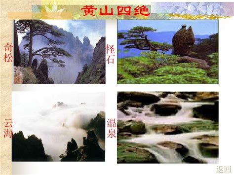 黄山奇松教学课件 word文档在线阅读与下载 无忧文档