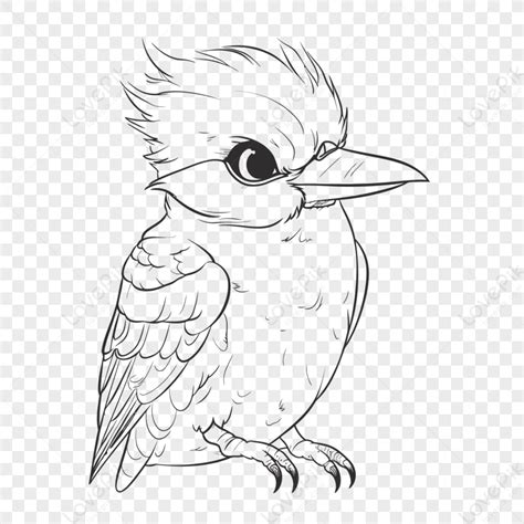 쿠카부라 아웃라인 스케치 드로잉을 위한 컬러링 페이지 벡터유기체꼬리 Png 일러스트 무료 다운로드 Lovepik