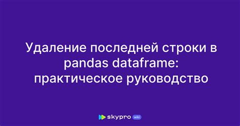 Удаление последней строки в Pandas Dataframe практическое руководство