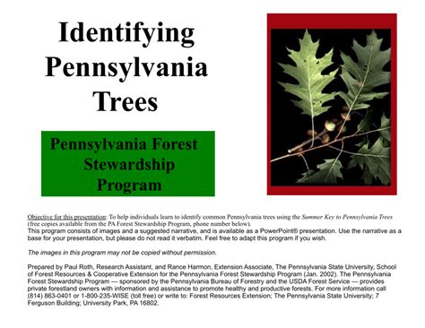 Identifying Trees