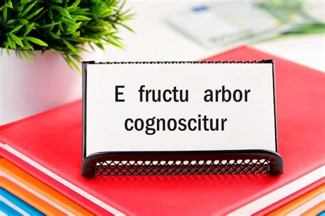 Premium Photo E Fructu Arbor Cognoscitur The Phrase In Latin