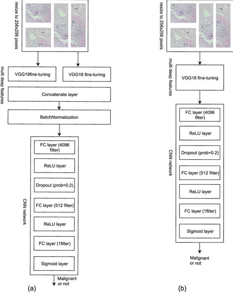 a fine tuning vgg16 and cnn b fine tuning vgg16 and vgg19 and cnn