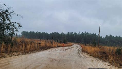 Carthage Timberlands To Kisatchie Louisiana Gps Trail Map
