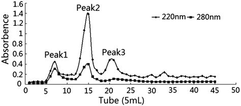 Sephadex C‐25 Sieve Chromatography Download Scientific Diagram