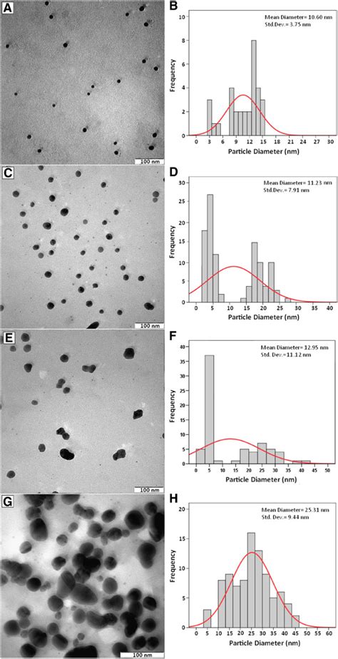 Transmission Electron Microscopy Image And The Particle Size