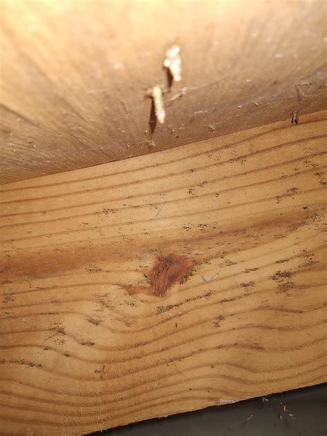 Crawlspace Questions R Homemaintenance