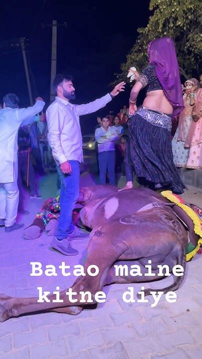 राजस्थानी ऊंट On डांस।camel Dance New Video। Dj Song Wedding Pose Youtube