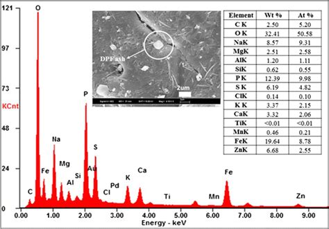 Sem Eds Spectra Of Dpf Ash Particles Coated By Aupd Download