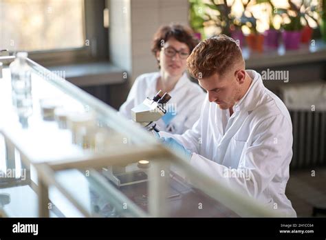 Male With Female In Lab Working With Microscope Stock Photo Alamy