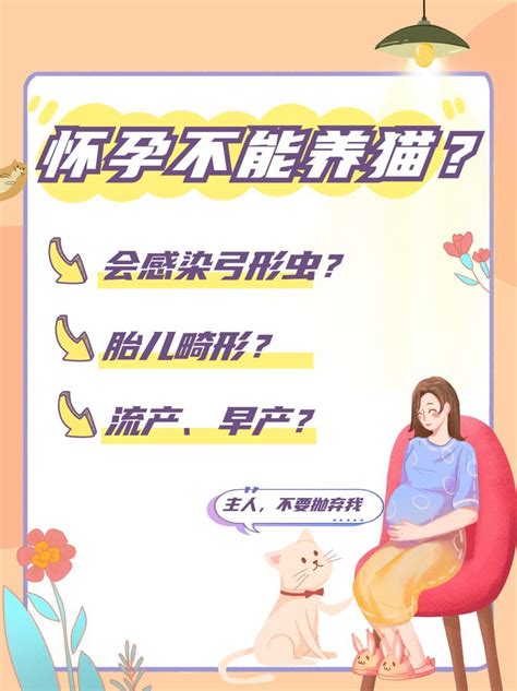 弓形虫你不知道的那些事孕妇可以养猫吗弓形虫？猫咪不背锅养猫得弓形虫？ 知乎
