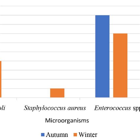 Growth Of Microorganisms In Different Seasons Of The Year Download