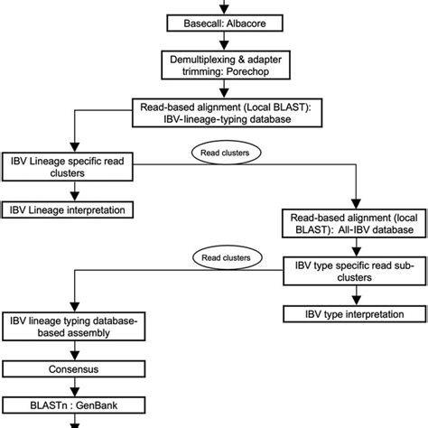 A Schematic Diagram Of The Workflow Of Minion Data Analysis Download Scientific Diagram