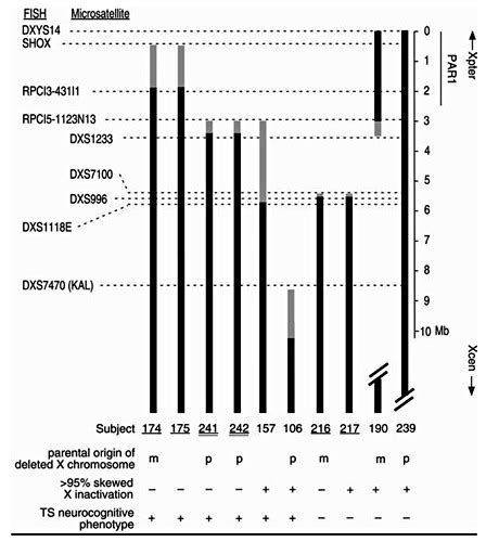 Deletion Mapping And Phenotypes Of Patients With Distal Xp Deletions