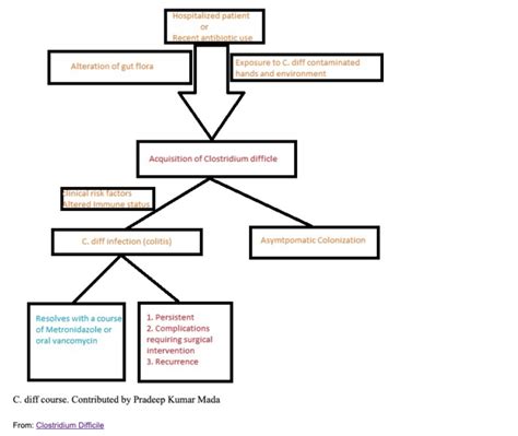 What Is C Diff A Gutsy Girl