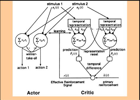 32 Actor Critic Model Using A Temporal Representation Of Stimuli
