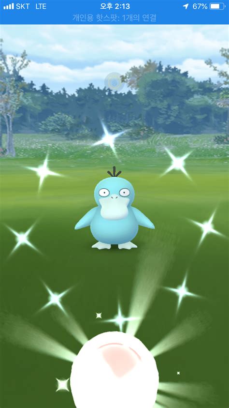 아차모 커뮤라며 포켓몬 에펨코리아