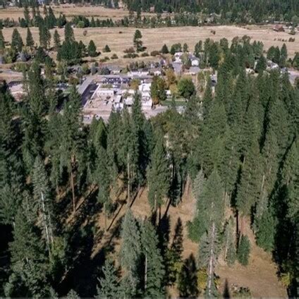 The Workgroups California Wildfire Forest Resilience