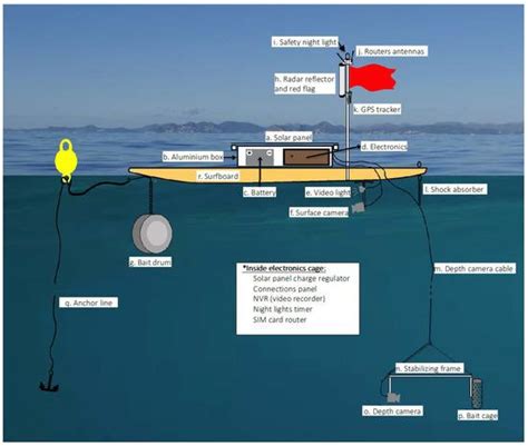 Journal Of Marine Science And Engineering On Linkedin Improved Baited Remote Underwater Video