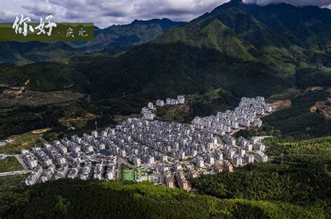庆元公布一批人事任免！ 庆元网