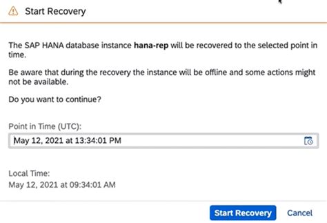 Security And Backups In Sap Hana Cloud Sap Hana Database Sap Tutorials