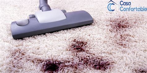 ¿cómo Aspirar Y Limpiar Alfombras En Casa Casa Confortable