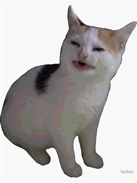Angry Cat Meme Sticker For Sale By Katikat Redbubble